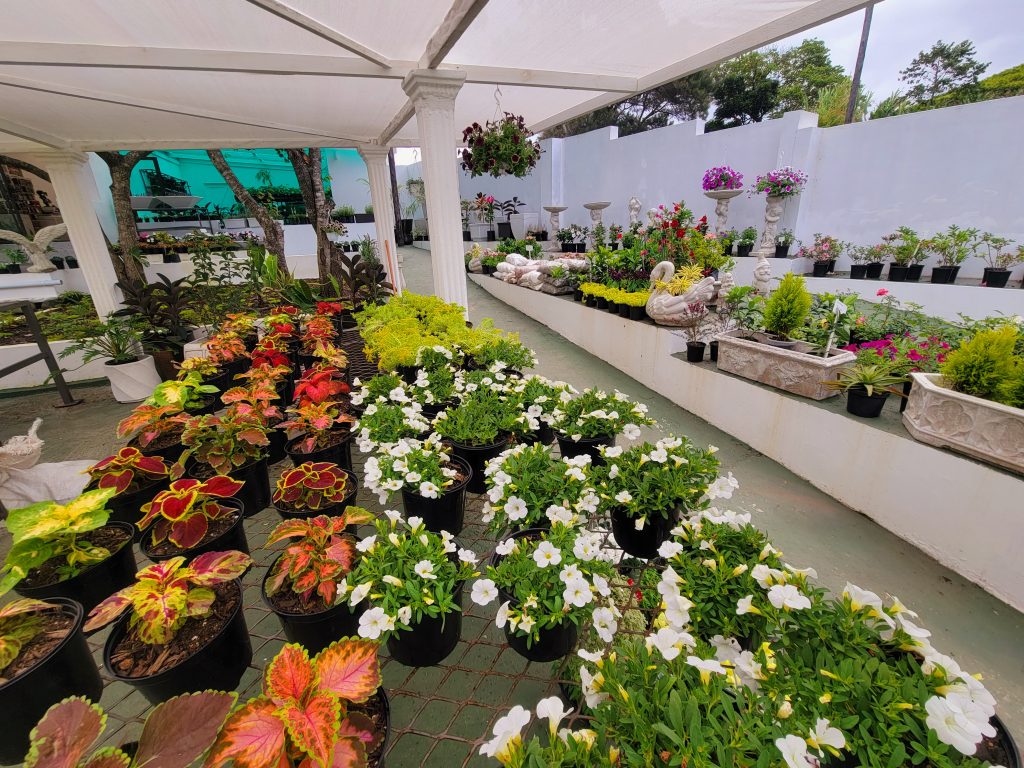 More about us - Landosol Plant Farm Nursery