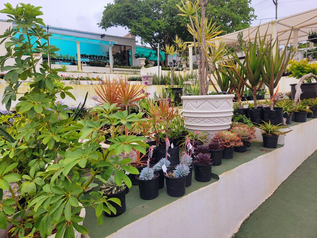 More about us - Landosol Plant Farm Nursery