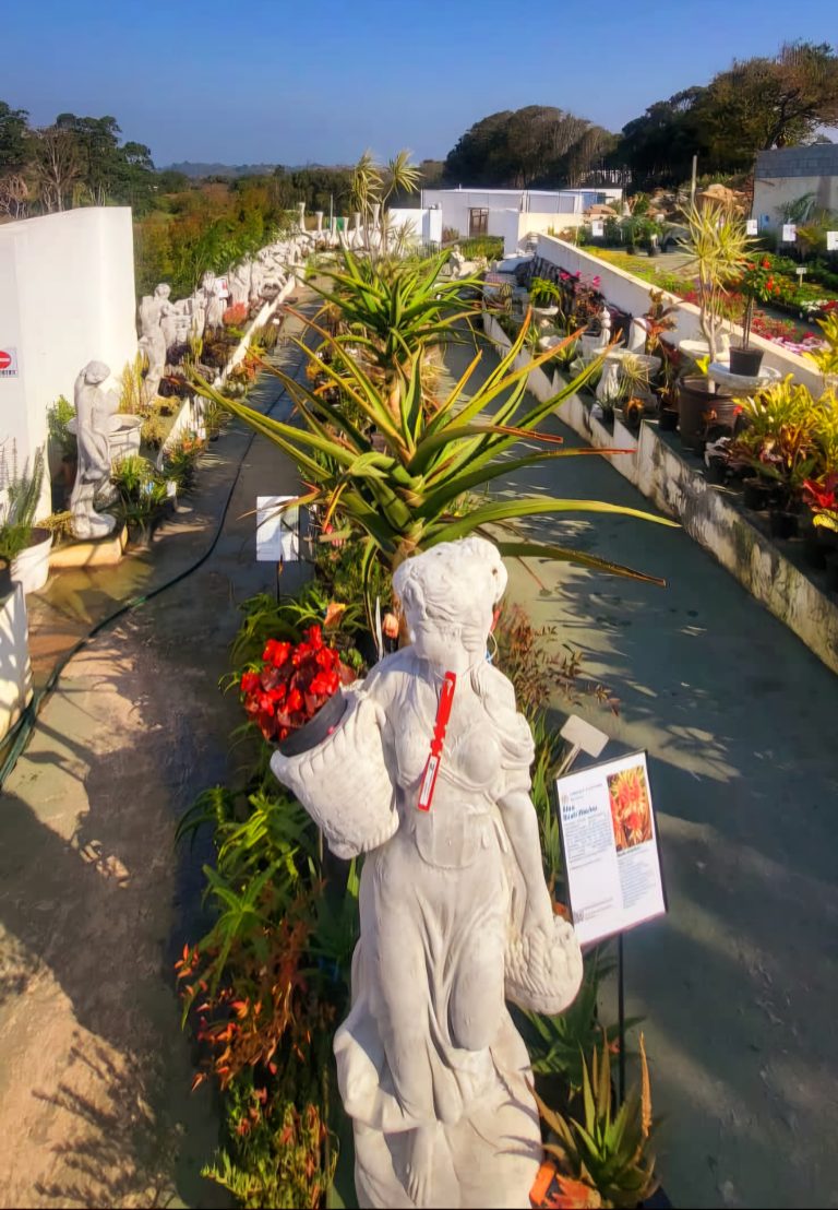 Gallery - Landosol Plant Farm Nursery