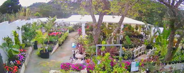More about us - Landosol Plant Farm Nursery