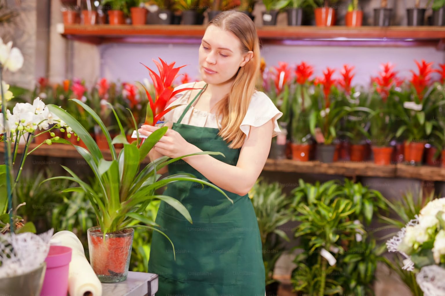 More about us - Landosol Plant Farm Nursery