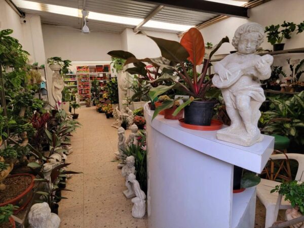 Gallery - Landosol Plant Farm Nursery